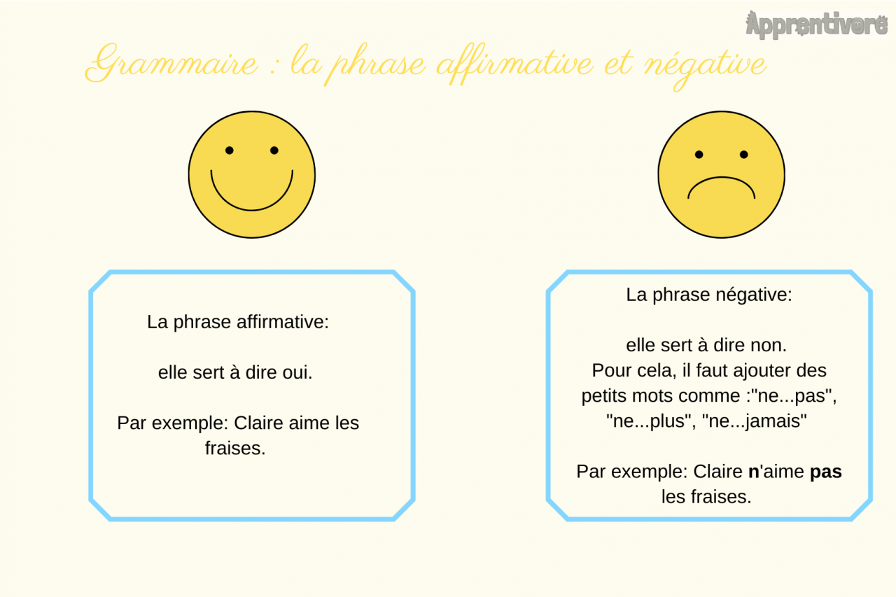 Phrases Affirmatives et Négatives (Leçon) - Apprentivore