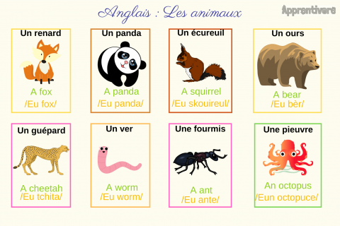 Les animaux en anglais (animals) : vocabulaire et exercices