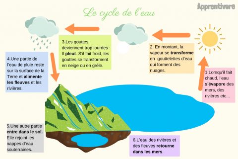 Le Cycle de l'Eau (Leçon) - Apprentivore