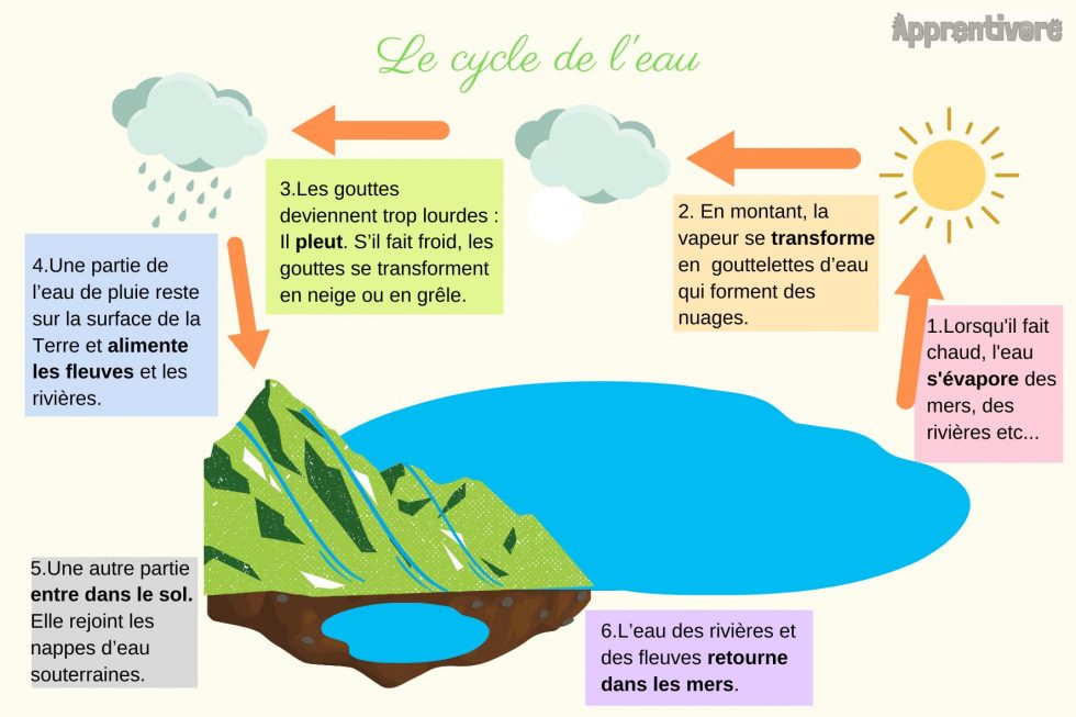 Le Cycle de l'Eau (Leçon) - Apprentivore