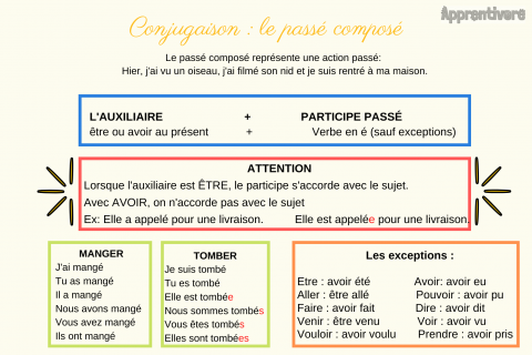 Passé composé : formation, accords et exercices (CM-collège)