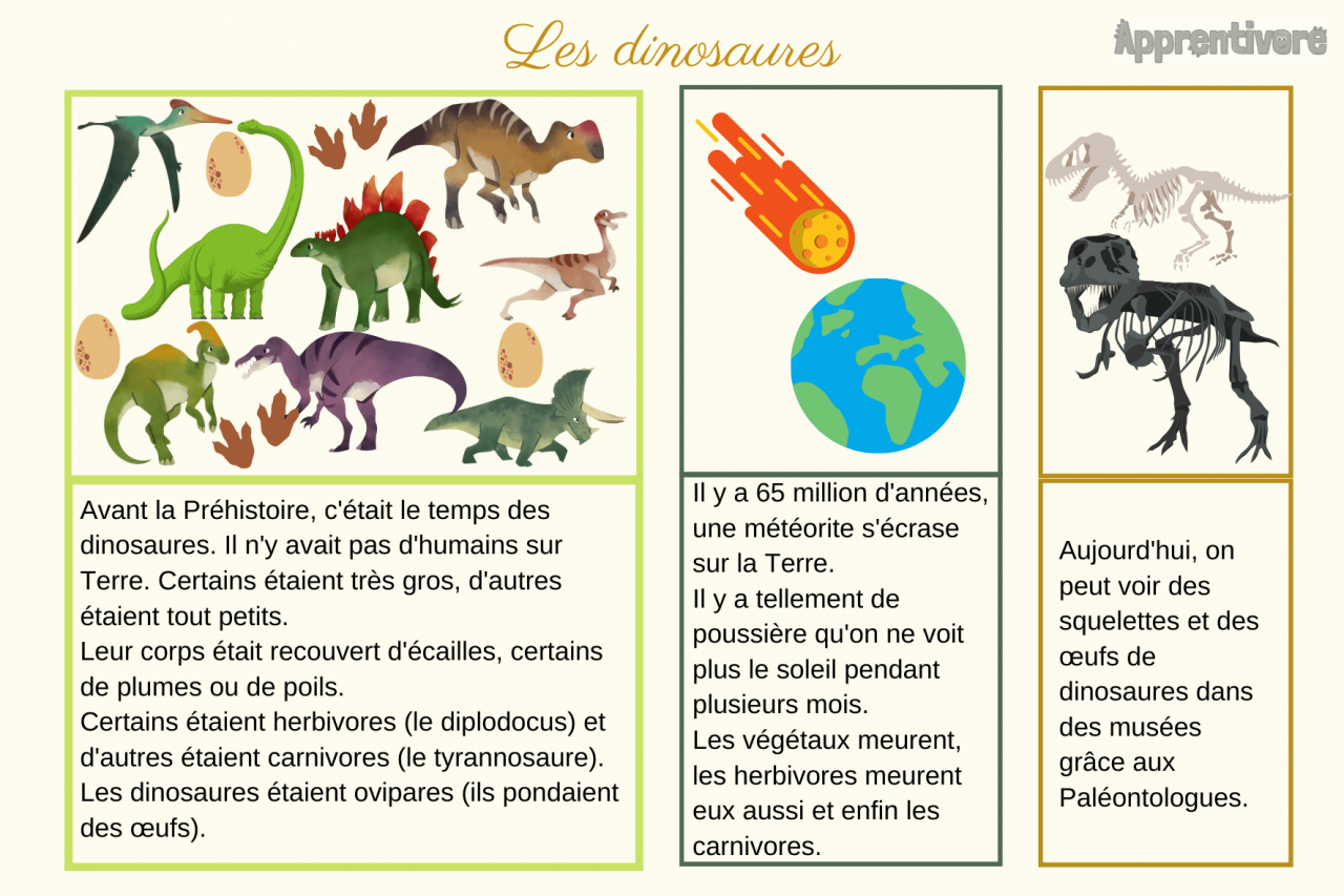 Histoire : Les Dinosaures (Leçon) - Apprentivore