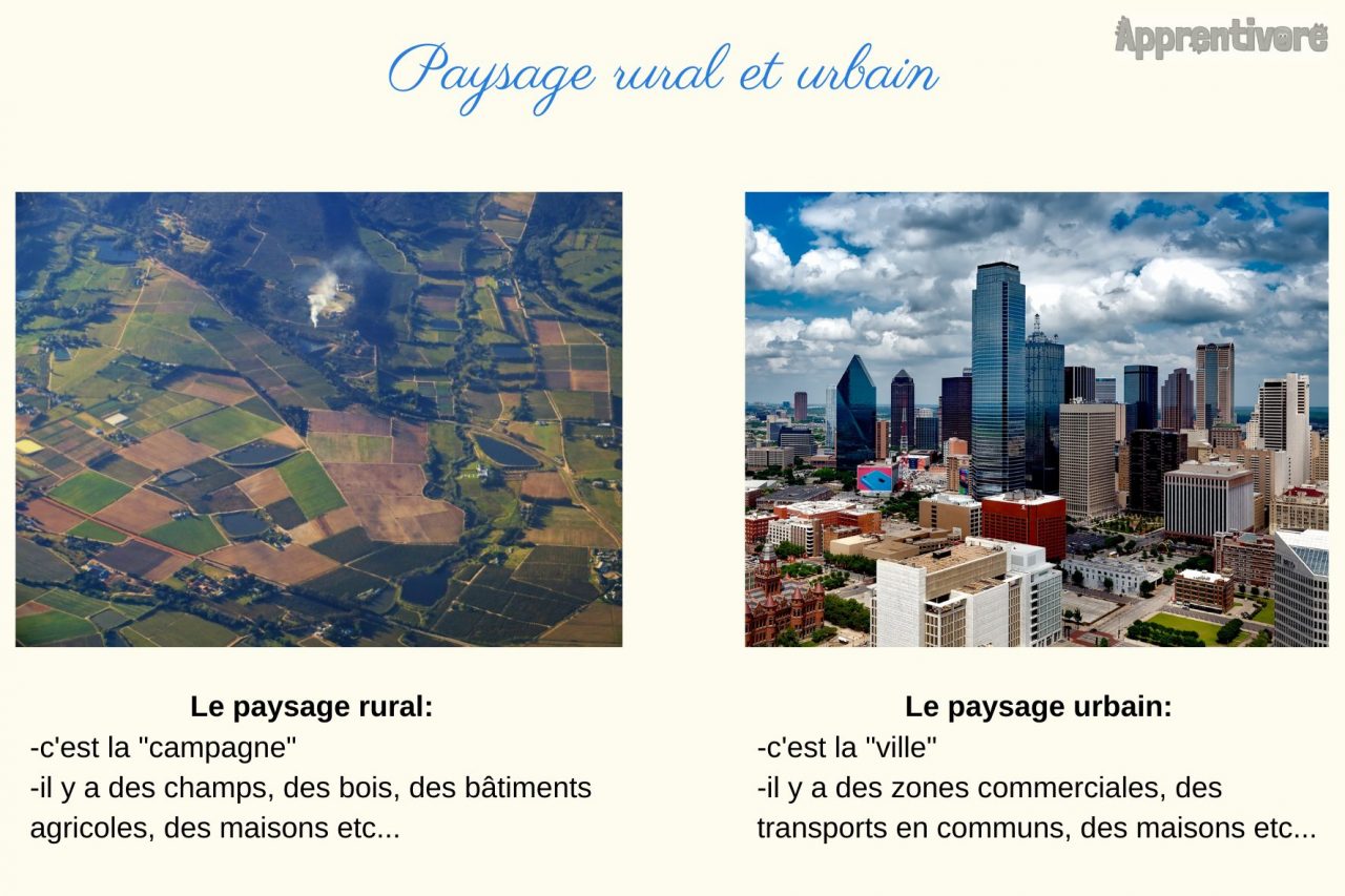 Paysage Rural et Urbain (Leçon) - Apprentivore