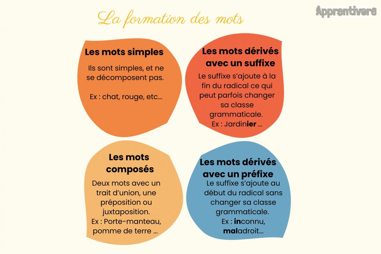 Formation des mots : préfixe, radical, suffixe (leçon)