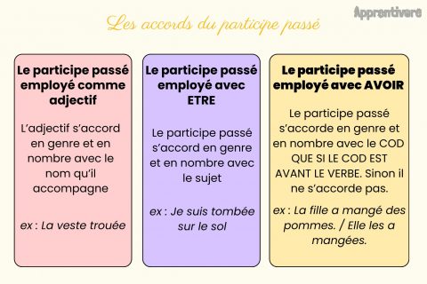 Les Accords du Participe Passé (Leçon) - Apprentivore