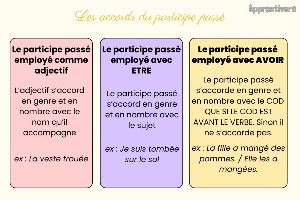 Les Accords du Participe Passé (Leçon) - Apprentivore