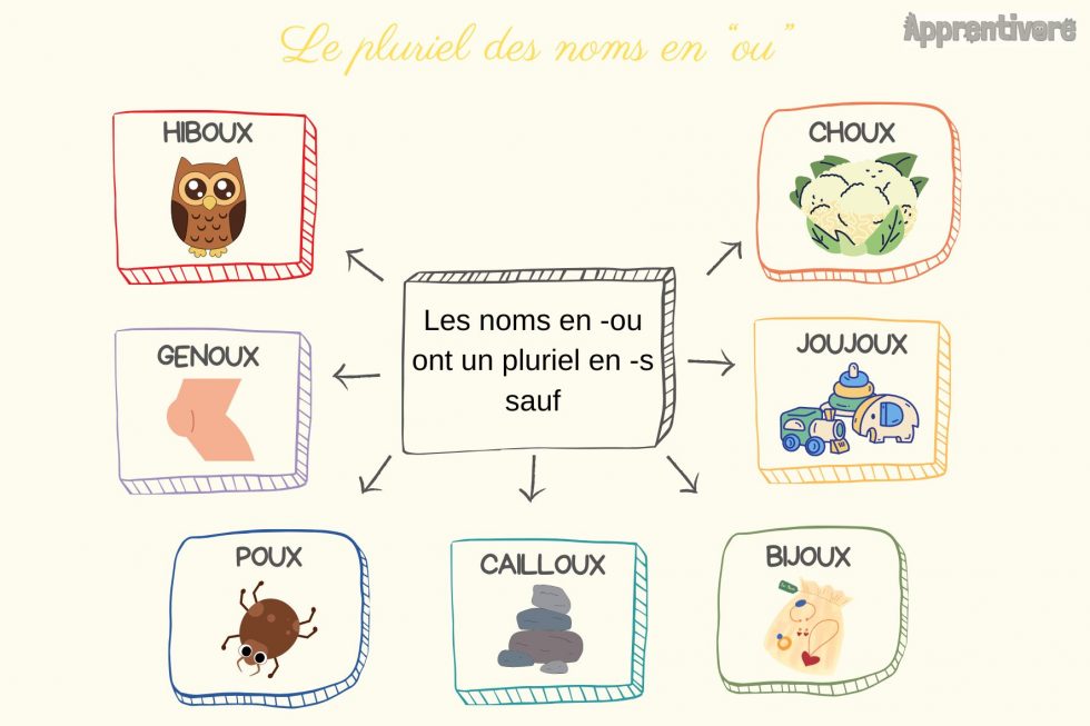 Le Pluriel des Noms en "OU" - Apprentivore