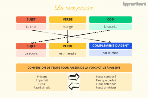 La Voix Passive (Leçon) - Apprentivore